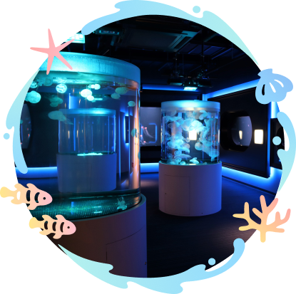 夜の水族館『Nightscape Camp2025』 | 四国水族館