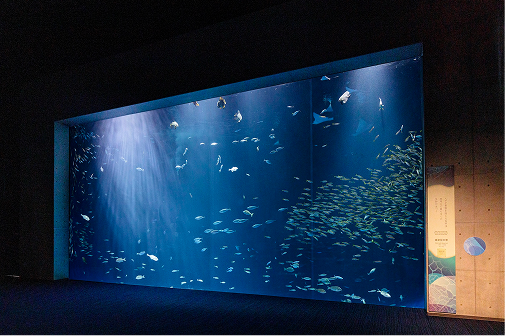 夜の水族館『Nightscape Camp2025』 | 四国水族館